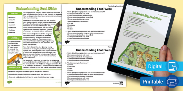 Food Webs Fact File | Printable & Digital Teaching Resources