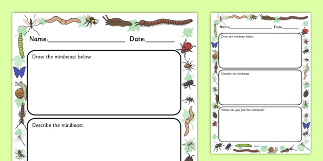 Minibeast Description Writing Frame - writing frame, frame, writing ...