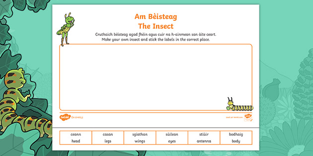 Insect Body Parts Gaelic Worksheet