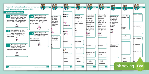 * NEW * Level 6 Parent Information Sheet Bumper Pack