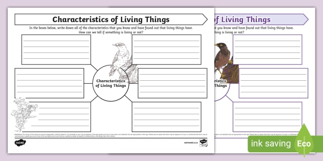 Characteristics Of Living Things Lesson Plans Middle School