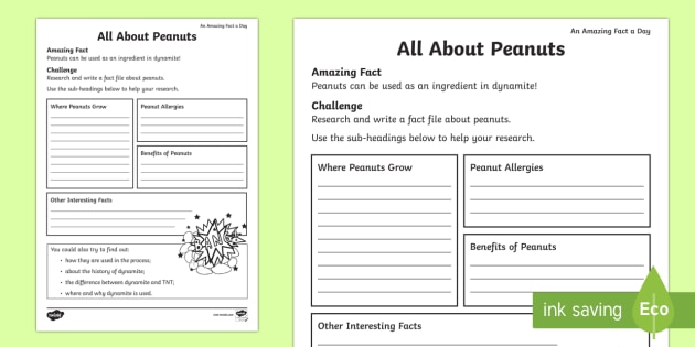 Peanut Fact File Worksheet / Worksheets