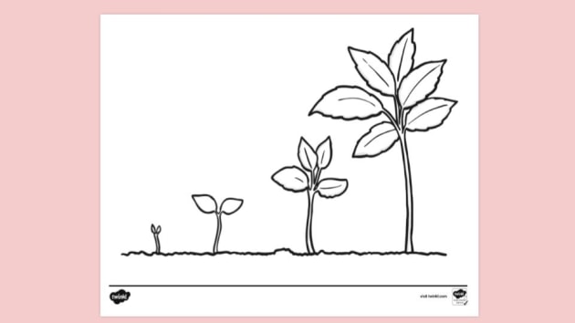 Planting Coloring Pages