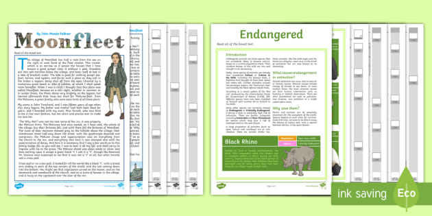 * NEW * Reading Test Practice for Wales Year 6 Moonfleet and Endangered