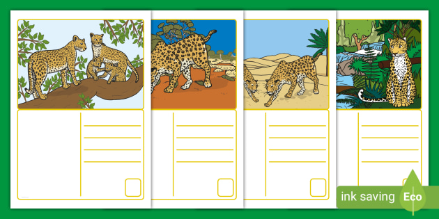 FREE! - Leopard Postcards (teacher made)