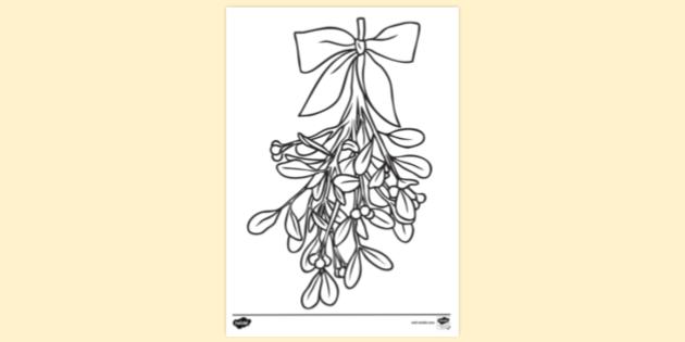 Mistletoe Colouring Sheet - Teaching Resources - Twinkl