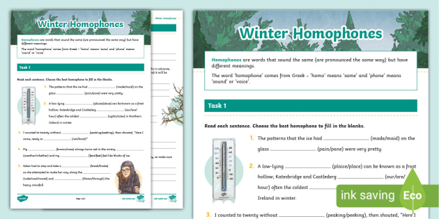 Homophones Activity Sheets Winter