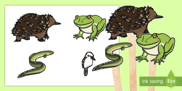 Tiddalik the Frog Stick Puppets-Australia (teacher made)