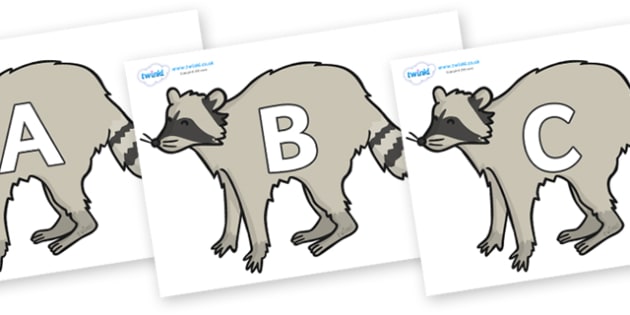 A-Z Alphabet on Racoons - A-Z, A4, display, Alphabet frieze, Display ...