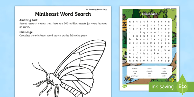 Minibeast and Insect Word Search | Word Puzzles | Twinkl