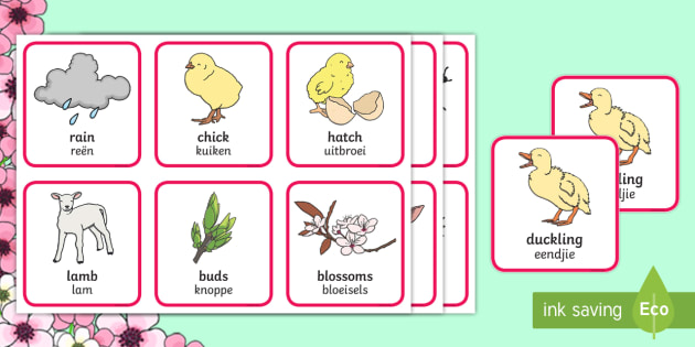 Spring Pairs Matching Game English/Afrikaans (teacher made)