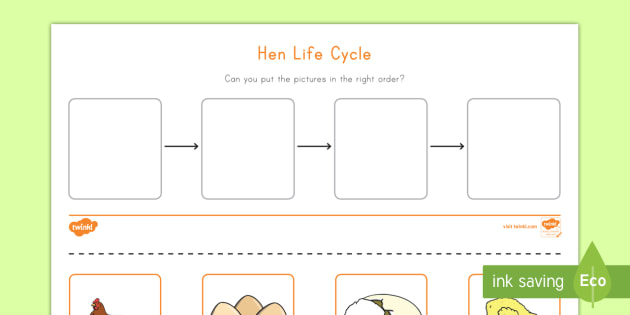Hen Life Cycle Activity - science, animals, living things, cut