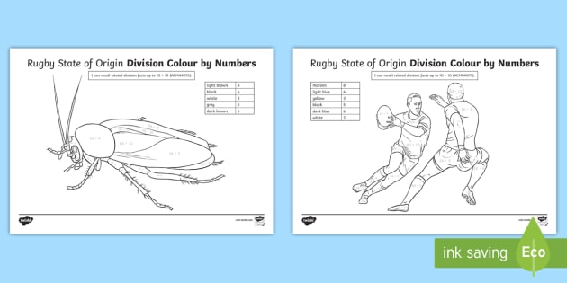 Rugby State of Origin Division Colour by Number