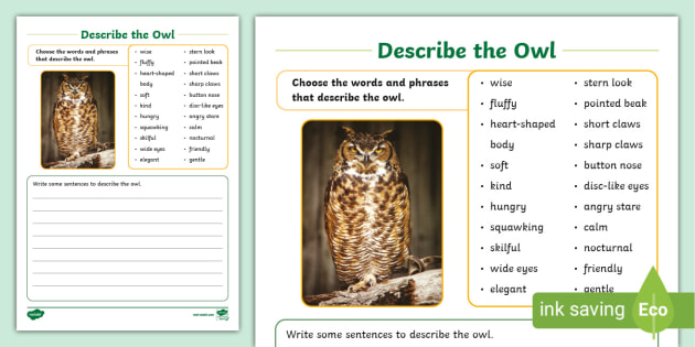 Describe the Owl Writing Worksheet (Teacher-Made)