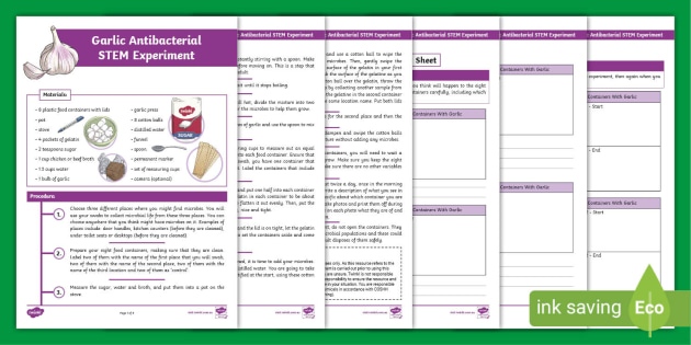 Garlic Antibacterial STEM Experiment Ι Food-Themed Resources