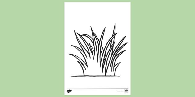 FREE! - Grass Colouring | Colouring Sheets (teacher made)