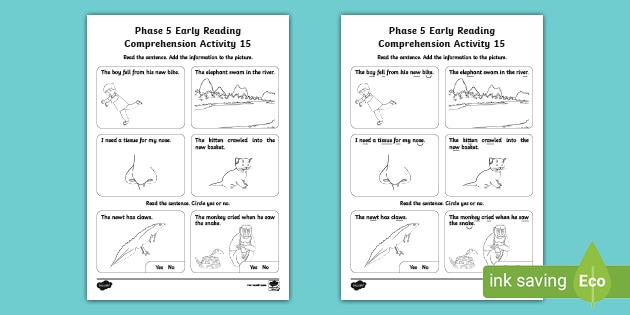 Phase 5 Early Reading Comprehension Activity 15