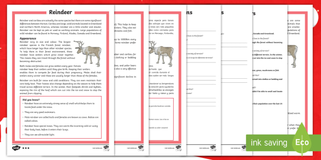 Reindeer Differentiated Reading Comprehension Activity English/Spanish