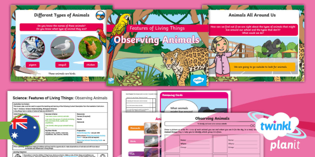 Year 1 Science Features of Living Things Lesson 1 Animals