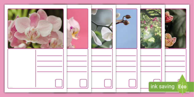FREE! - Orchid Themed Postcards (teacher made)