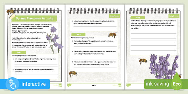 Spring Pronouns Activity (teacher made)