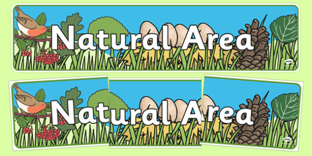 Natural Area Display Banner - nature, science, animals, garden