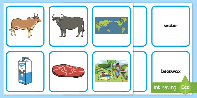 The Cow and the Buffalo Picture and Word Matching Cards