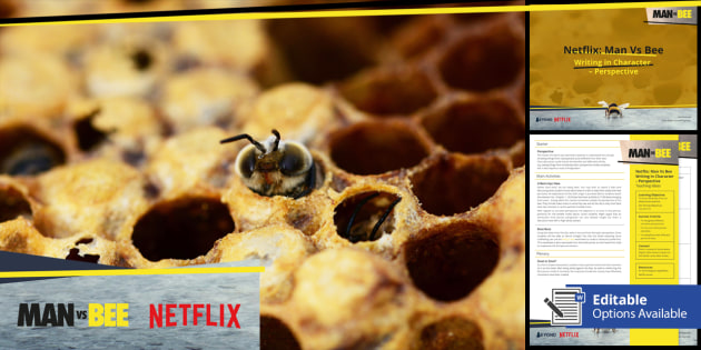 FREE! - Man Vs Bee: Writing in Character - Perspective