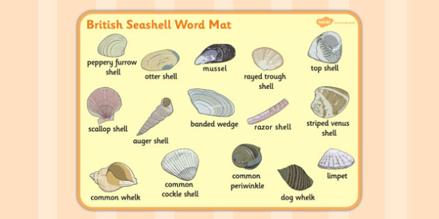 British Seashell Word Mat (teacher made)