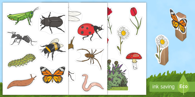 Minibeasts Small World Characters (teacher made)