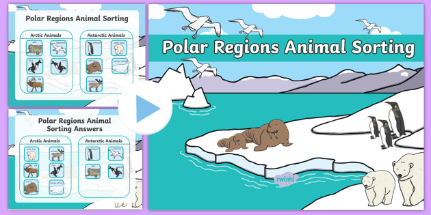 Polar Regions Animal Sorting Activity (teacher made)