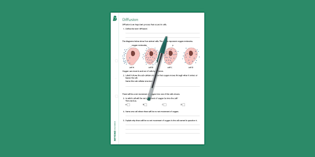 Diffusion Worksheet Ks3