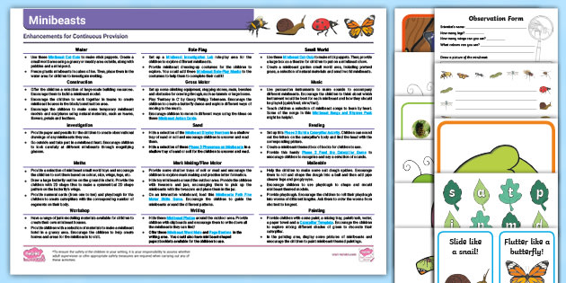 EYFS Minibeasts Continuous Provision Planning Ideas Pack