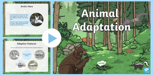* NEW * Animal Adaptation PowerPoint - Life Science, Ecosystem
