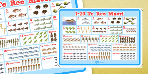 Te Reo Māori Numbers Poster - nz, new zealand, te reo māori