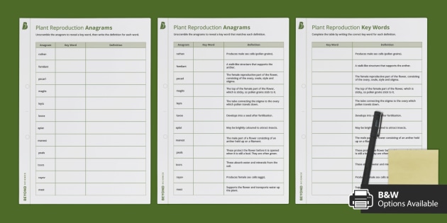 Plant Reproduction Key Word Anagrams | KS3 Biology | Beyond