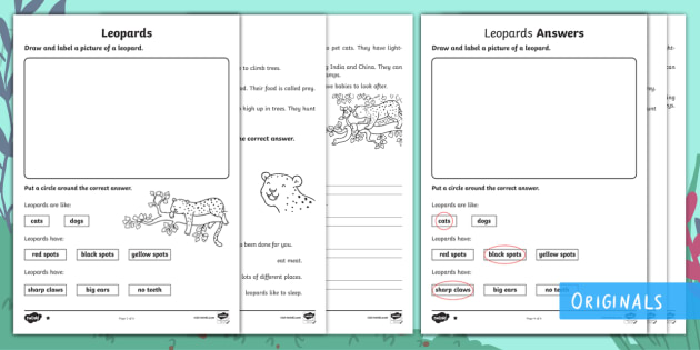 Leopards Differentiated Worksheet / Worksheets