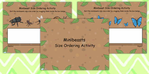 Minibeast Size Ordering Flipchart
