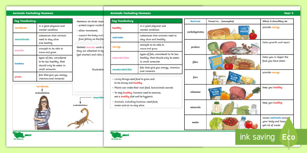 Science Knowledge Organiser: Animals Including Humans Year 3