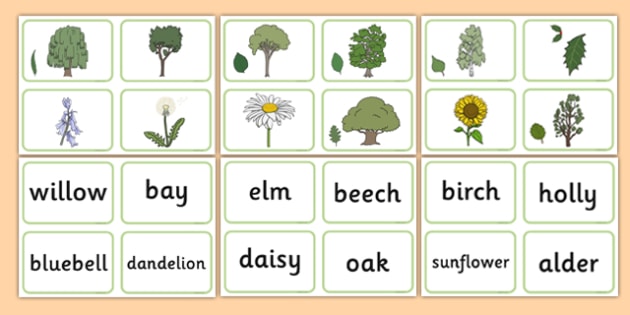 Nature Tree Matching Cards - nature, tree, matching cards, matching, cards
