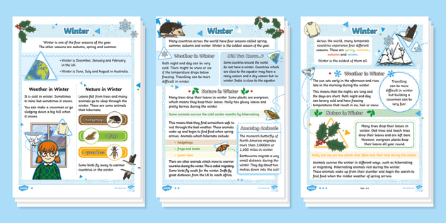 KS1 Winter Differentiated Reading Comprehension Activity