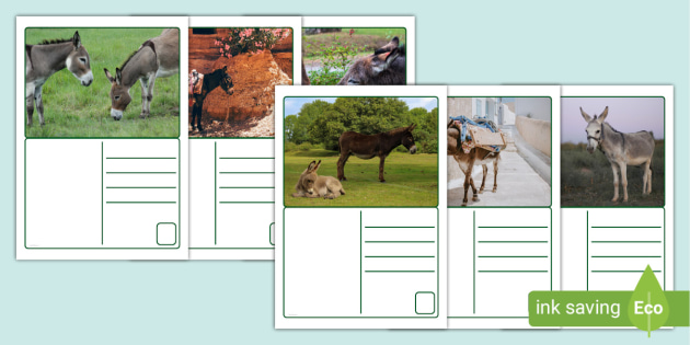 FREE! - Donkey Themed Postcards (Teacher-Made)