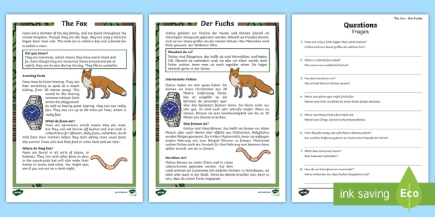 Fox Reading Comprehension Worksheet / Worksheets English/German