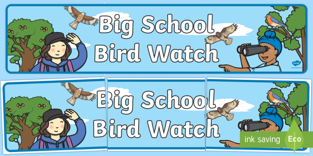 Big School Bird Watch Banner