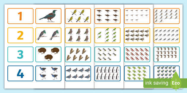 New Zealand Native Birds Counting Matching Cards