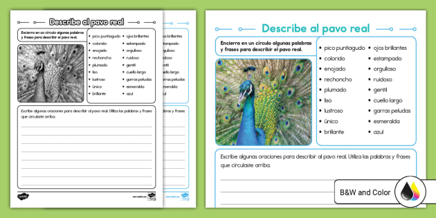 Spanish Language Resources | twinkl.com
