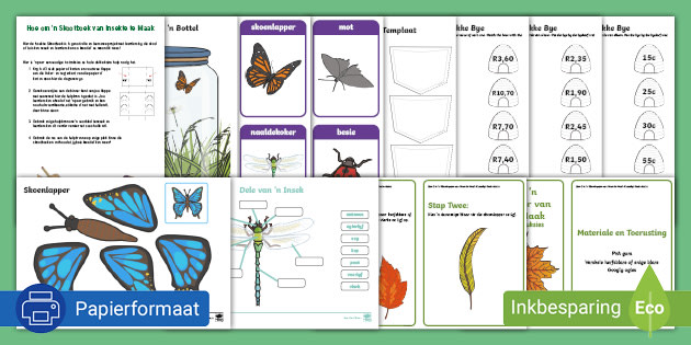 Insekte Skootboek (teacher made)