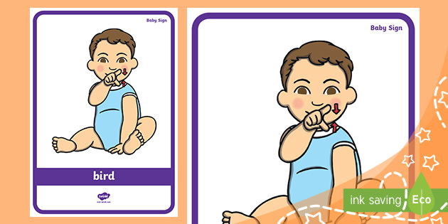 Baby Sign Language Poster (Bird) (teacher made)