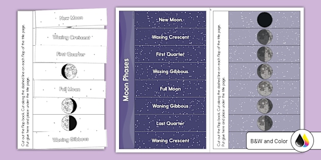 Moon Phases Activity Foldable Space Science Astronomy Unit Lunar