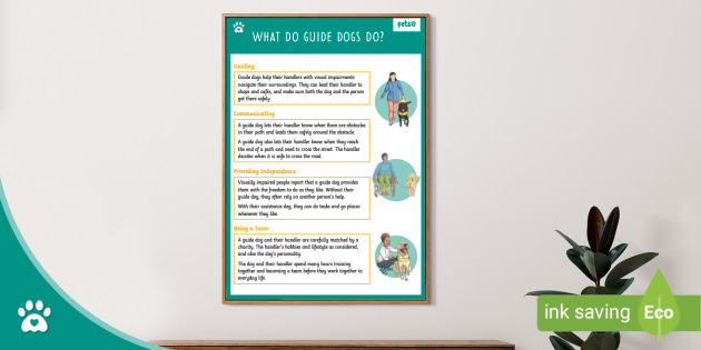 What do Guide Dogs Do? - Display Poster - Dog - Twinkl Pets